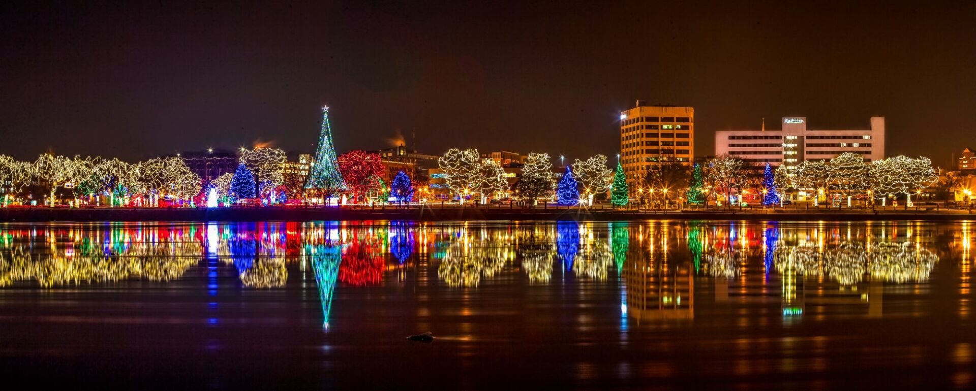 Rotary Lights in Riverside Park - Z93