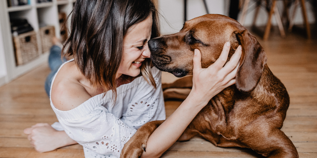 PET MOM DAY - Z93