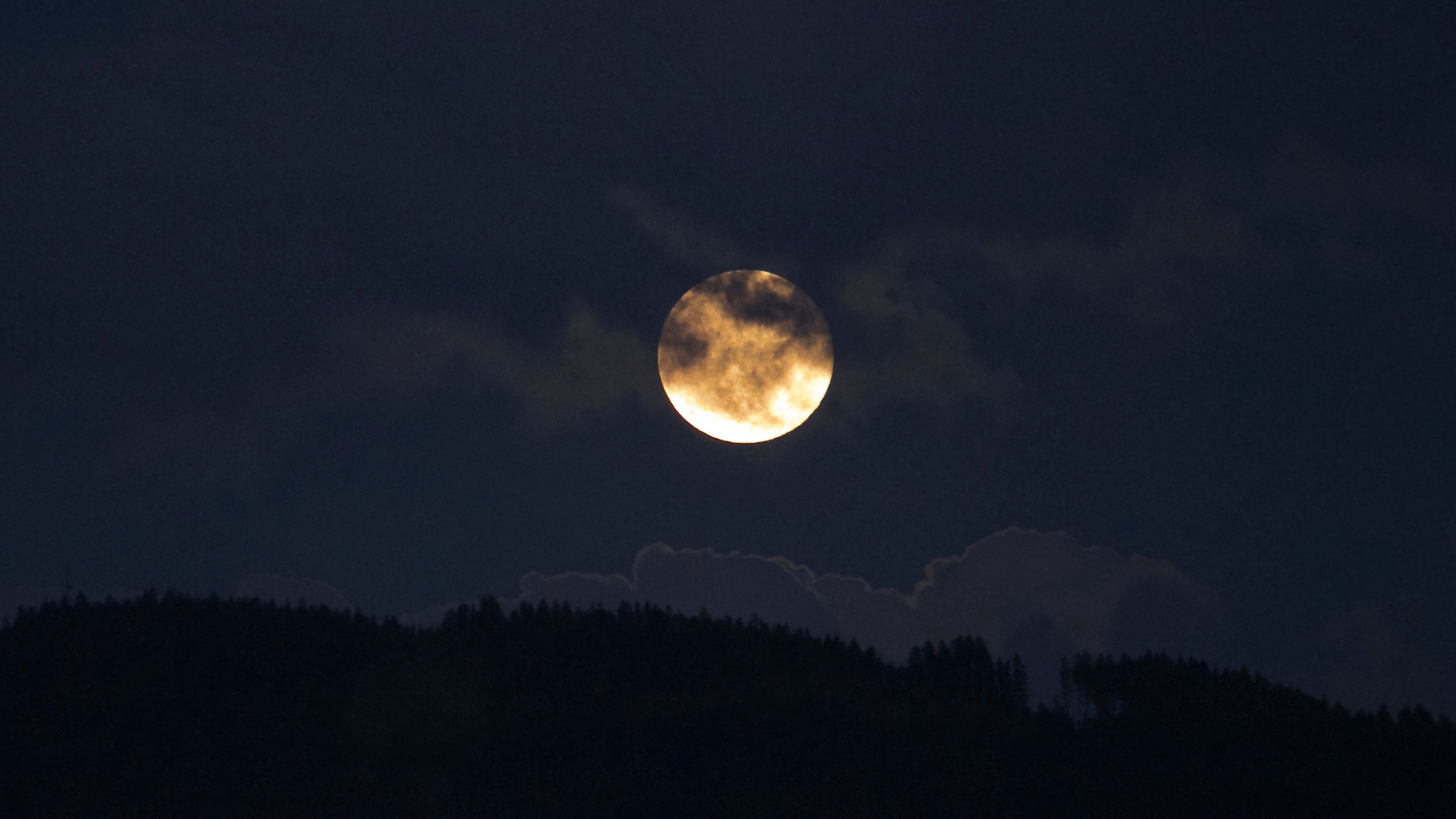 Hocus Pocus Movie at Riverside Park - Z93