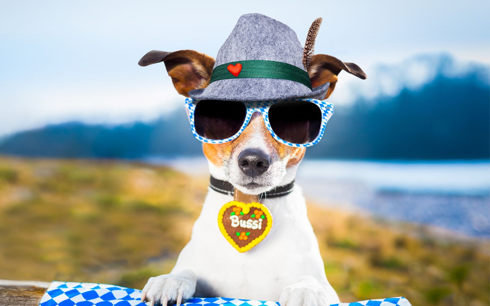 BUSCH BEER RELEASING 'DOG BREW' LIMITED EDITION TURKEY BROTH - Z93