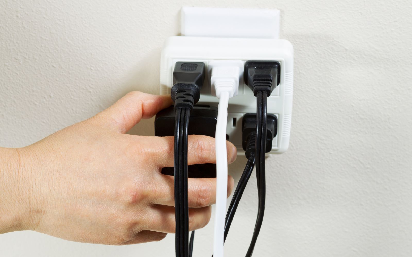 TALKING DOG, PLUTO, IS BACK WITH MORE GREAT ADVICE! - Z93